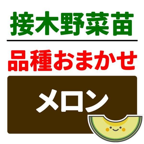 ●商品情報品種はおまかせ激安野菜苗！とりあえず安い野菜苗が欲しいという方や品種にこだわらないという方にピッタリ！栽培説明・名称ラベルが付いて初心者でも安心！今季販売中のいずれかの1品種が入ります。   ●お届け状態 接木9ｃｍポット苗   ...
