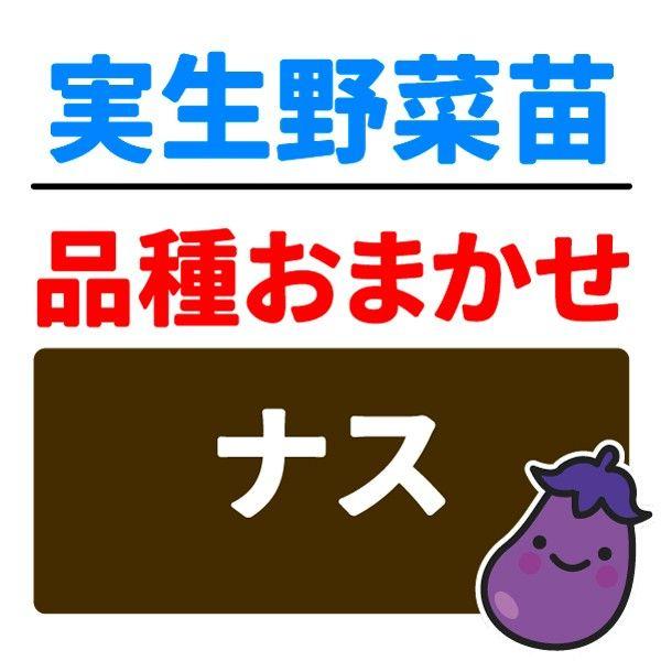 ●商品情報品種はおまかせ激安野菜苗！とりあえず安い野菜苗が欲しいという方や品種にこだわらないという方にピッタリ！栽培説明・名称ラベルが付いて初心者でも安心！今季販売中のいずれかの1品種が入ります。   ●お届け状態 実生9ｃｍポット苗   ...