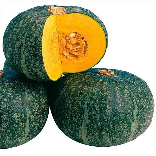 ●商品情報：高粉質で甘味も強く、煮た時の色が鮮やかで美しい！　初期の節間が短いので管理しやすい。●果重（約）：1.5〜1.8kg●お届け状態：種子●入り数：5粒●発芽適温：25〜30℃※発芽させるには播種床を上記の温度にしてください。●標準...