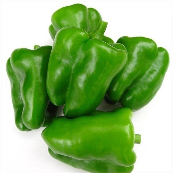 ●商品情報：昔からつくられているピーマンの代表的な品種で、暑さに強く、丈夫でつくりやすく、長期間収穫可能。果実はやや大きく張りがあり、肉厚で甘味があります。●果重（約）：45g●早晩性：早生●お届け状態：種子●入り数の目安：1mlあたり約8...