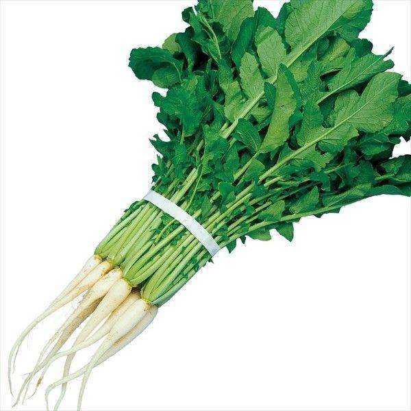 ●商品情報：葉柄に「毛茸」が発生せず葉と茎を食べるのに最適！●草丈（約）：20cm●お届け状態：種子●入り数の目安：10mlあたり約200〜400粒※入り数は目安です。品種により差があります。●発芽適温：18〜30℃※発芽させるには播種床を...