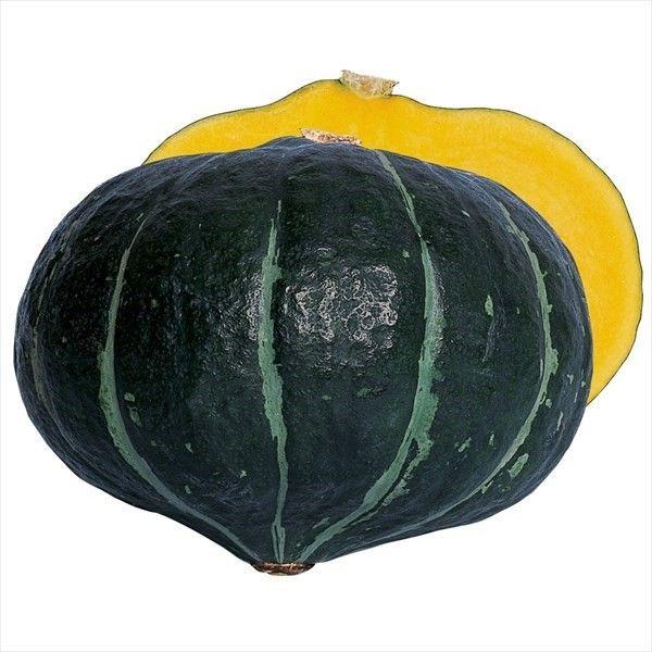 ●商品情報：放任栽培可能！　名前の通り「ほっとけ栽培」で簡単・楽々! 　短節間性で省力栽培できる。果肉厚く濃黄色で、高粉質のホクホク食感で甘くて美味。（登録名：TC2A）※海外持出禁止品種(公示(農水省HP)参照）●果重（約）：1.8〜2k...