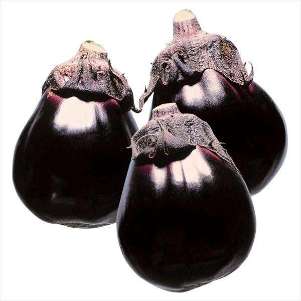 ●商品情報：新潟県の伝統野菜。果皮がやわらかで果肉は緻密、多汁で甘味があり、生で食べても非常に美味しい！　収穫は卵大が目安。●果長（約）：6〜8cm●お届け状態：種子●入り数の目安：1mlあたり約60〜100粒入り※品種により差があります。...