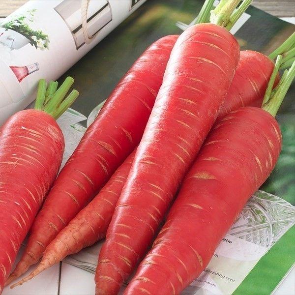 ●商品情報：リコピンとカロテンの 優しい彩り人参併せ技！！ 金時ニンジンのリコピンと西洋ニンジンのカロテンを併せ持つ！肉質緻密で臭いも少なく甘味が強いのでどんな料理にも合う。初期生育がよく育てやすい！●根長（約）：20〜22cm●収穫までの...