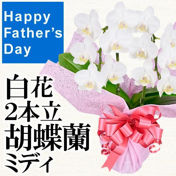 ■商品情報贈り物やお祝いの代表花＝胡蝶蘭！花もち抜群！開花期間が長いミディータイプが新登場。■お届け状態2本立て開花株■栽培適地鉢植え注意事項※写真はイメージです。※花色や花つき、枝ぶりには幅があります。■備考ラッピング付きでお届けします。...
