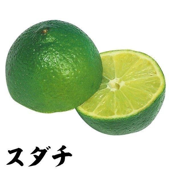 ●商品情報：スダチはザクザク実り、長期収穫可能。調味料に最適の香酸柑橘。焼き魚やお鍋に!●お届け状態：接木1年生根巻苗 ●分類：常緑樹 ●収穫期(約)：8〜10月●生長後の樹高(約)：2.5〜3m●日照：日なた●耐寒性：中●栽培適地：庭・鉢...