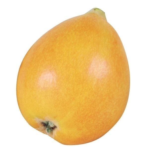 ●商品情報：バラ科の常緑樹。糖度約14.4度と甘い果肉は厚くて、柔らかくてジューシーで美味しいビワ! 果重約53g。がんしゅ病に抵抗性があり育てやすいビワの木です。漢字・別名：枇杷、小匏(コフクベ)、蘆橘(ロキツ)、ロクワット●お届け状態：...