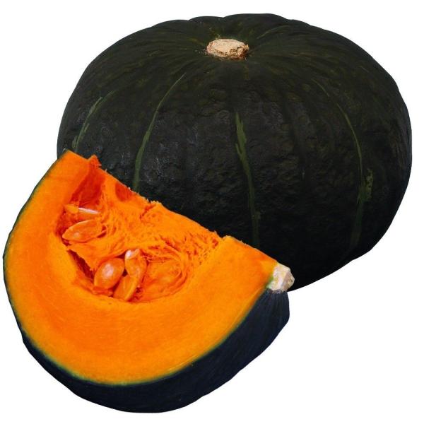 ●商品情報：高粉質でありながら甘味が乗るのが早く、ホクホク感となめらかさが絶妙な旨味を演出!!　果肉は早期に濃くなりやすく、収穫後の色付きも早い! 早生カボチャの中でも果皮が濃く、日焼けも発生しにくく高品質なカボチャが期待できます。最高糖度...