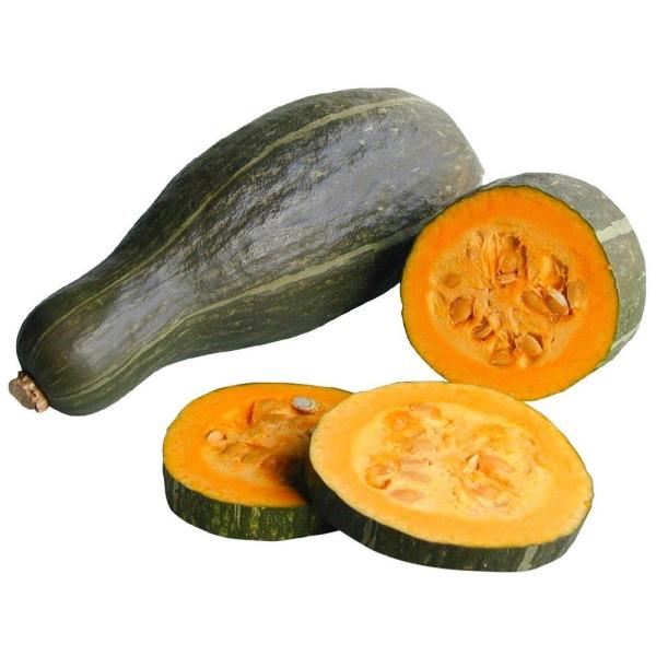 ●商品情報：独特な長首形で、長さ約40cmにもなるロングカボチャ!　薄皮で切りやすいのも嬉しい。肉質は強粉質で、甘味強く、とっても美味!!　生育従来のバターナッツカボチャに比べ、圧倒的な着果数で 旺盛で多収です。●果重（約）：2〜3kg●開...