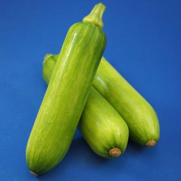 ●商品情報：つる性ズッキーニタイプの韓国かぼちゃ。淡白でクセがなく、味噌汁の具や油炒めなど、色々な料理で大活躍♪　ウイルス病に強く、長期収穫も可能。●果長(約)：〜20cm●お届け状態：種子●入り数：5粒●発芽適温：25〜30℃※発芽させる...