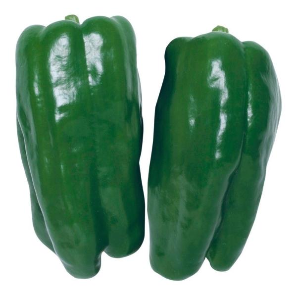 ●商品情報：高温・低温に強く着果バツグン! 　肥大よく、濃緑のつやつやピーマンが沢山とれます。病気に強く、長期栽培可能な中型の優秀ピーマンです。●果重（約）：30g●お届け状態：種子●入り数：27粒●発芽適温：25〜30℃※発芽させるには播...