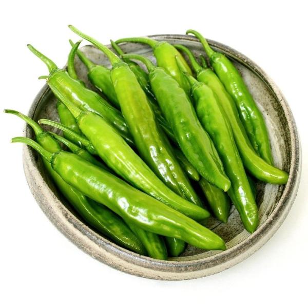 ●商品情報：辛味が全くなく、サクッとした食感で食味も抜群の甘長トウガラシ! 　長型でも曲がりが少ない。サラダにも適します。●果長（約）：10〜12cm●お届け状態：種子●入り数：20粒●発芽適温：25〜30℃※発芽させるには播種床を上記の温...