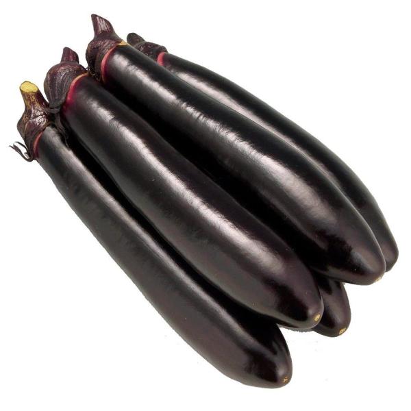 ●商品情報：耐暑・耐湿性があり草勢強く、露地栽培の夏秋収穫、つまりは家庭菜園に最適な長ナス! 　色あせがなく高品質な美味ナスが秋まで収穫できます。●果長（約）：25cm●お届け状態：種子●入り数：20粒●発芽適温：20〜30℃※発芽させるに...