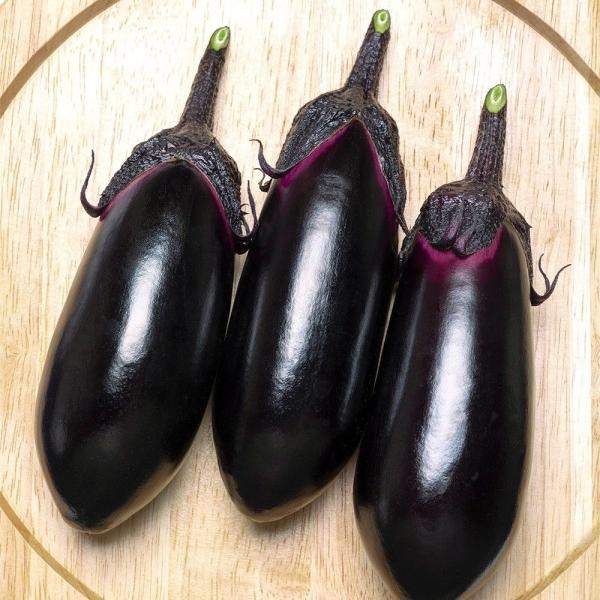 ●商品情報：受粉なしでも結実し、側枝の発生が旺盛で、栽培前半から高温期も安定的に着果肥大する長卵形ナス。艶やかな濃黒紫色果は揃い良く、色ボケ果の発生少ない。肉質緻密で炒め物や煮物、焼ナス、浅漬など様々な料理で大活躍！●お届け状態：種子●入り...