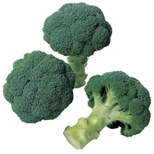 ●商品情報：耐暑性が非常に高く、高温下でも立派な花蕾が収穫可能なブロッコリー！！ 根も強く、比較的湿害に強いです。頂花蕾は締まりが良く、濃緑色の小粒！●収穫部分：頂花蕾●頂花蕾重（約）：400g●早晩性：中早生●定植から収穫までの日数（約）...