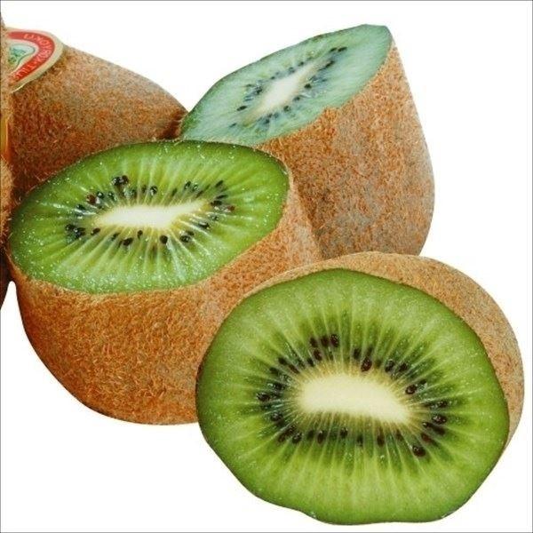 ●商品情報：果重約100g、糖度約18度で酸味少なく甘味を強く感じます。香りよくやわらかい。香川県が誇る絶品緑肉キウイ。●お届け状態：接木1年生根巻苗●分類：つる性落葉樹●実の収穫期(約)：11月上旬〜●耐寒性：中●日照：日なた●栽培適地：...