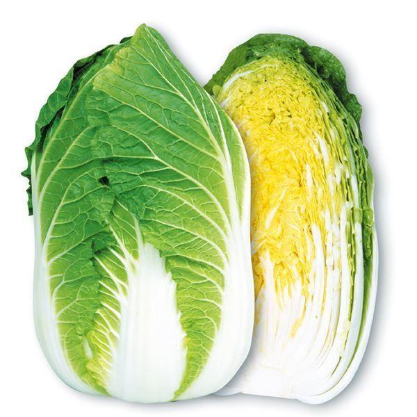 ●商品情報：柔らかで甘味抜群。美しい黄芯ダイプで、お鍋や漬物に最高です。結球・肥大性に優れ育てやすい。●球重（約）：3〜3.5kg●早晩性：中晩生●播種から収穫までの日数（約）：85日●お届け状態：種子●入り数の目安：5mlあたり約750〜...