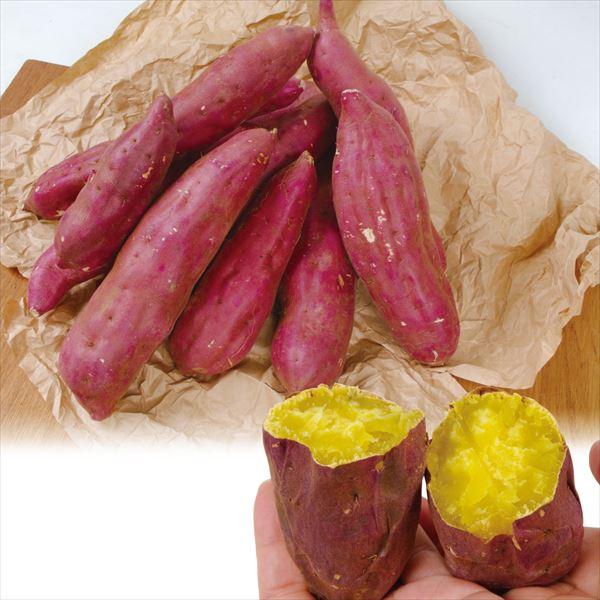 ●商品情報【名人宮下さんの有機栽培イモヅル】国の厳しい基準を満たした「有機JAS認定」を受けた畑で、さつまいも名人“宮下さん”が大切に育てた正真正銘の「有機栽培イモヅル」です。ずば抜けた甘さとホクホクの食感で、関東において最高の人気を誇る傑...