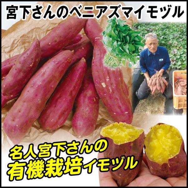 ●商品情報【名人宮下さんの有機栽培イモヅル】国の厳しい基準を満たした「有機JAS認定」を受けた畑で、さつまいも名人“宮下さん”が大切に育てた正真正銘の「有機栽培イモヅル」です。ずば抜けた甘さとホクホクの食感で、関東において最高の人気を誇る傑...