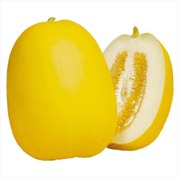 ●商品情報：果肉は香りよく甘味が強いマクワウリ。生育旺盛で着果が安定する栽培簡単な豊産種。●果重（約）：400g●お届け状態：実生9cmポット苗 ●備考：※ポットの口の対角線または直径が9cmとなります。※関東〜九州北部の平坦地区の露地への...