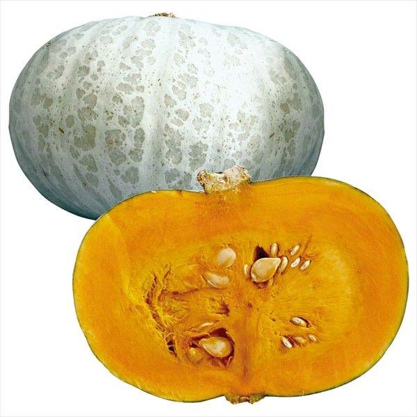 ●商品情報：冬至越えで甘味が最高潮！　なんと収穫後5か月間もの長期貯蔵が可能な白カボチャ！　果肉は黄オレンジ色でホクホクした食感、冬至を越えるとさらに甘みが増して美味しい。草勢強く栽培容易。●果重（約）：1.8〜2kg●開花から収穫までの日...