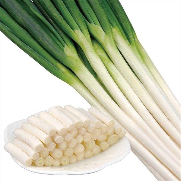 ●商品情報：旨くて料理人の十八番に！ 耐暑性に優れ、病気も出にくく作りやすい、秋冬どり用１本太ネギ。歯切れ良く柔らかな食感で食味最高!! 生だと辛味が強く、加熱調理すると甘味が強くなります。●軟白部（約）：30cm●お届け状態：種子●入り数...