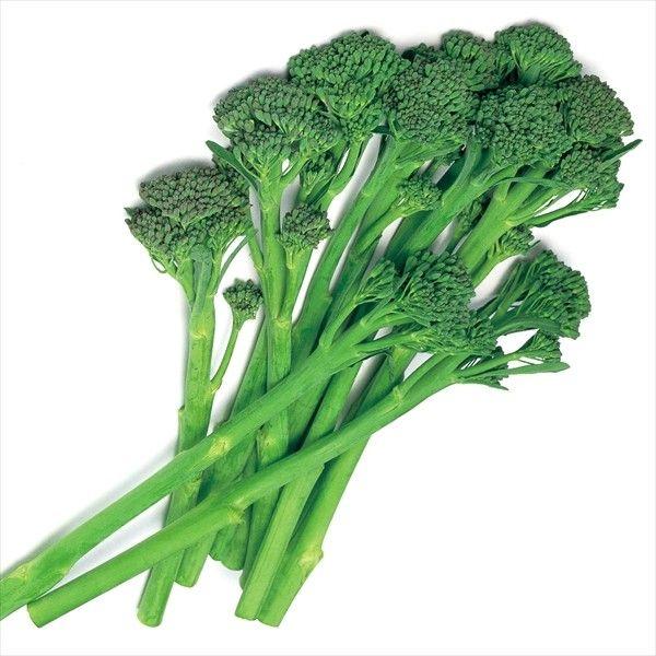 ●商品情報：アスパラガスに似た食感と甘味！！ 茎はアスパラガスに似た甘味で美味しい！ 省スペースで栽培できるので家庭菜園にオススメ。中間地で2〜8月まで播け、5〜12月まで次々と側枝が出て長期間収穫できる！「ブロッコリー×カイラン交配」●収...