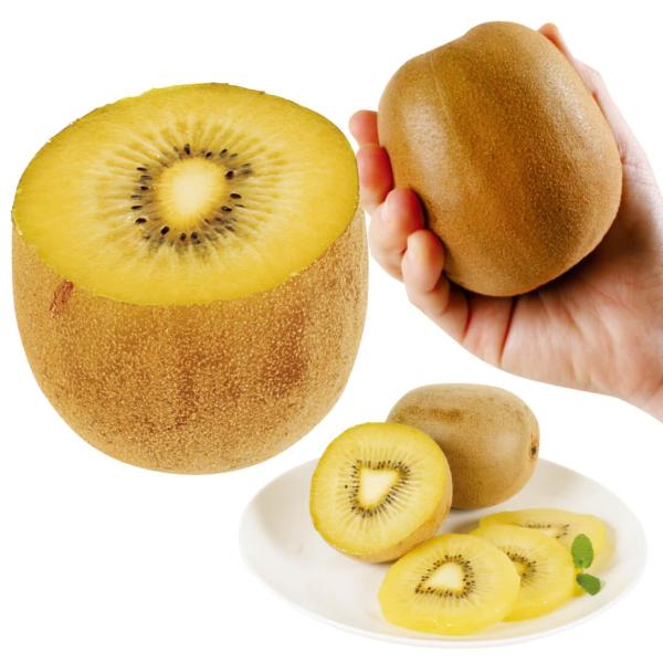 ●セット内容：ジャンボイエロー(メス木)　1株、孫悟空(黄肉用オス木)　1株●商品情報：黄肉キウイのメス木と開花期が合うオス木とのセットです。ジャンボイエロー(メス木)：なんと最大果重250gの記録を持つ巨大キウイ。「なにこれ! ?」と目を...