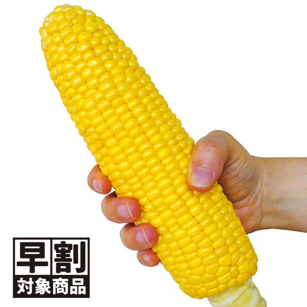 ●商品情報：先端から粒が詰まりやすく、食べ応え満点!　中晩生で収穫まで穂にじっくり糖分をため込むので、糖度約20度にまで達する極甘品種です。粒皮も薄く柔らかで美味。●皮付重（約）：500g●草丈（約）：190cm●播種から収穫までの日数（早...