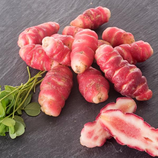 ●商品情報：アンデス地域では良く食べられているイモで、ジャガイモのように煮込み、焼き、揚げ、様々な料理で親しまれています。ほのかにピリッとした風味、ホクホクの食感で美味しい!収穫後、天日干しにすると甘味が増し、また、皮が薄いのでむく必要なく...