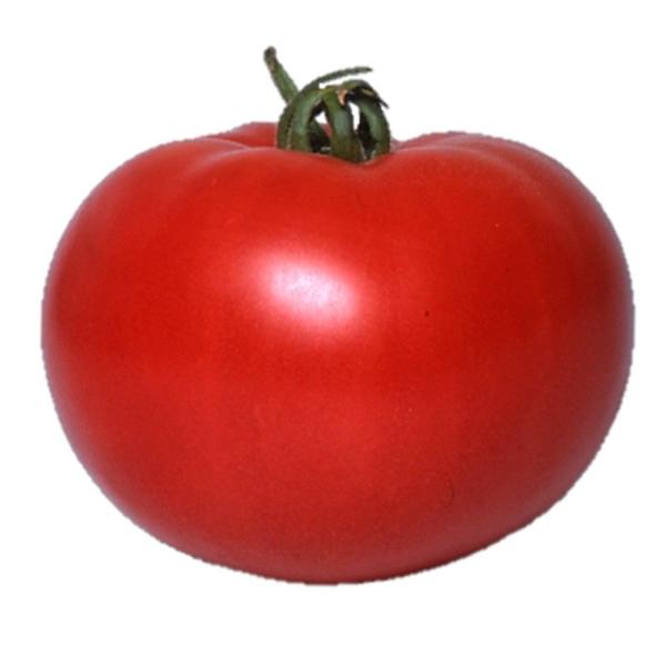 ●商品情報：濃桃色の果実は、肥大性抜群！甘味と酸味のバランスが良く、コクがありとっても美味しい。果実は硬玉で裂果も少なく、葉カビ病に抵抗性（Cf9）があり、育てやすい大玉トマトです。●大玉トマト●果重（約）：220〜230g●お届け状態：接...