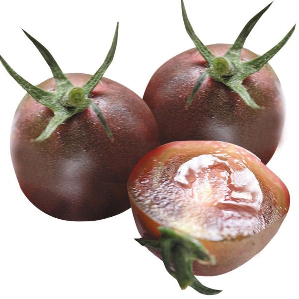 ●商品情報：葉緑素やリコピンを他品種より多く含有し、栄養満点！！熟すと黒みがかった赤茶色になり、甘くコク深い。生育旺盛です。●ミニトマト●果重（約）：25g●お届け状態：接木9cmポット苗●備考：※接木苗、特にウリ科植物(ゴーヤ・キュウリ・...