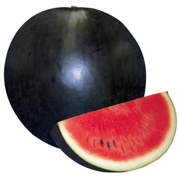 ●商品情報：食味を重視して開発された、折り紙つきの美味しさを持つ新品種。綺麗な円形で、皮の伸張性が少ないため空洞果も少ない！　最高糖度14度と甘味も抜群で、口いっぱいに広がる濃厚な果汁がたまりません。しかも大玉なので、お腹いっぱい、スイカが...