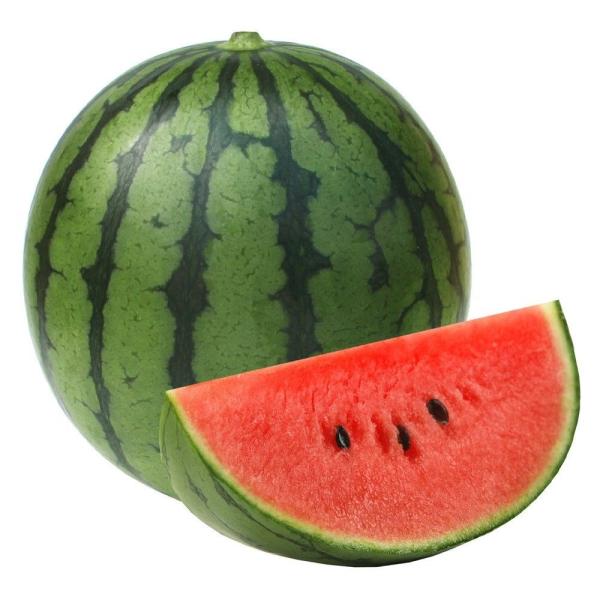 ●商品情報：1番かだけでなく、2〜3番果まで空洞果・変形・裂果の発生が極めて少ない優秀小玉スイカ！　果肉はやや硬く、糖度13度と甘くシャリ感もあり美味しい。花粉の発生が良く、雌花の着生も安定しており、着果良好です。●小玉スイカ●果重（約）：...