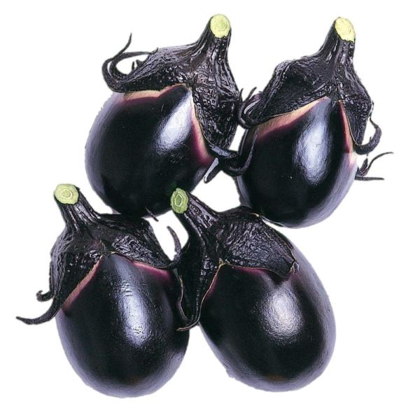 ●商品情報：果皮が薄く歯切れの良い、ひと口用小ナス。浅漬けに最高！石ナス・夏ボケ少なく栽培容易。大果は加熱すると絶品。●果重（約）：40〜100g●お届け状態：接木9cmポット苗●備考：※接木苗、特にウリ科植物(ゴーヤ・キュウリ・メロン・ス...