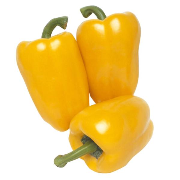 ●商品情報：栽培しやすいパプリカ！ 生育後半までたくさんとれる。尻詰まり良く食味も良好。●果重（約）：120g●お届け状態：接木9cmポット苗●栽培ポイントパプリカはなり始めは緑色です。各々の色に着色するまで60日程度はかかります。●備考：...