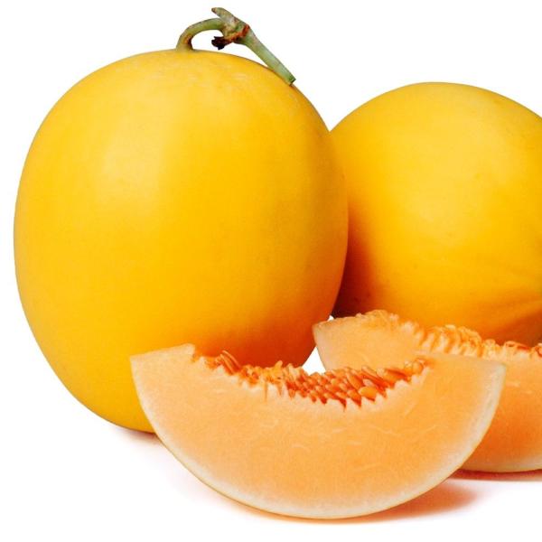 ●商品情報：日持ち性抜群で甘〜い！ マクワの血を引くため、非常に高糖度なのに甘ったるくなく、サクサク美味しい！ 露地でも作り易い。●果重（約）：1.5kg●糖度（約）：17〜18度●お届け状態：接木9cmポット苗●備考：※接木苗、特にウリ科...