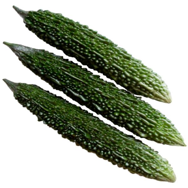 ●商品情報：節々に果実が実る多収性のゴーヤ！ 果皮は極濃緑色で果長約30cmと揃い良く、実つきを制限しなくても成り疲れしにくいので、長期収穫できます。●果重（約）：250〜300g●果長（約）：30cm●お届け状態：接木9cmポット苗●備考...