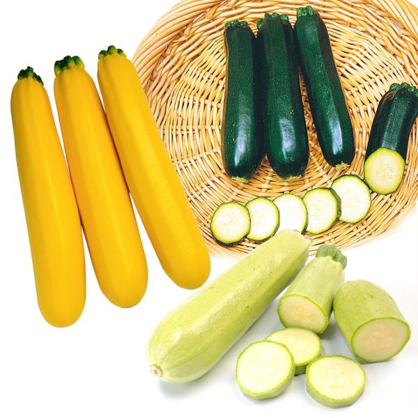 ●セット内容実生野菜苗 ズッキーニ F1モスグリーン 2株実生野菜苗 ズッキーニ F1ナポリイエローEX 2株実生野菜苗 ズッキーニ F1オリーブヤングマンR 2株