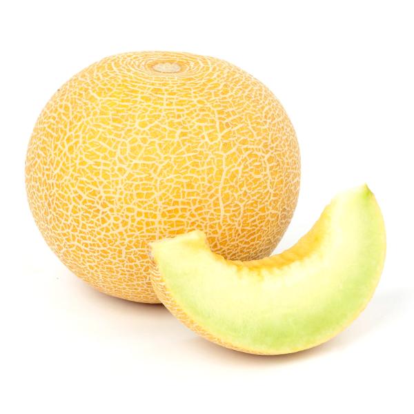 ●商品情報：プランタや露地でも栽培可能！ 家庭でお手軽に栽培できるネットメロン。きれいなネットが入る黄金皮と、鮮やかな緑色の果肉のコントラストが美しい！ 糖度は15度になることもある、甘くて美味しいメロン。※ころたんRはサカタのタネ登録品種...