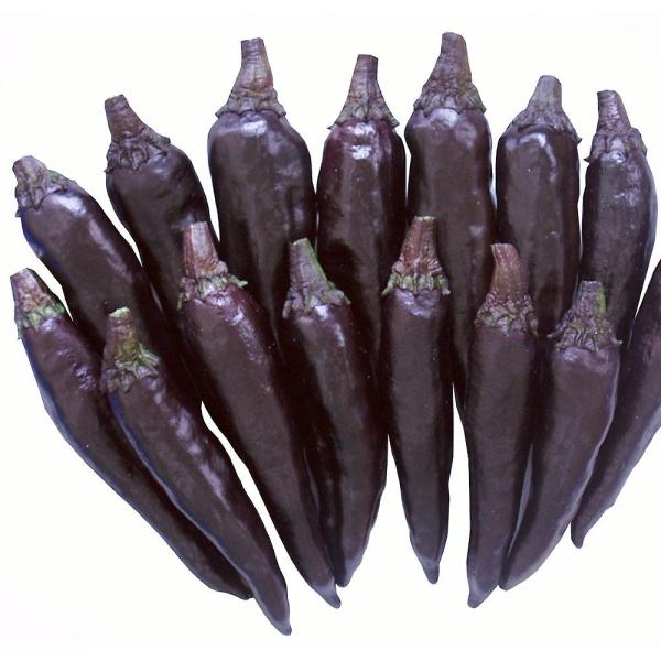●商品情報：奈良県で昔から栽培されている大和の伝統野菜。長さ5cmほどの珍しい紫色のとうがらしの一種。完熟すると赤色になります。辛味なくもちもちとした食感で、天ぷらや佃煮、完熟した物は生のままお弁当の彩りに使えます。アントシアニンを豊富に含...