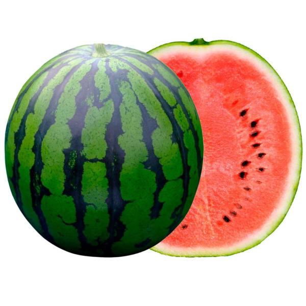 ●商品情報：うどんこ病と炭そ病の2つ耐病性を備え「祭ばやし」がパワーアップ！！果肉は鮮紅色でシャリ感あり、爽やかな香りと甘さが特長です。草勢強く高温下でもバテにくい。●果重（約）：8〜9kg（大玉）●糖度（約）：13度●お届け状態：種子●入...