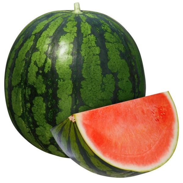 ●商品情報：種なしでも小さな種の痕跡（しいな）は残りますが、この品種はしいなが特に小さくて食べやすい!! 果肉はよく締まりシャリ感が強く、糖度が非常に高くて旨い。変形果・空洞果の発生も少なく、秀品率の高い品種です。●果重（約）：7〜8kg（...