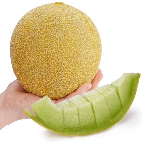 ●商品情報：ヨーロッパでも人気の「ガリアメロン」が、香り・味ともに日本向けに改良されさらに美味しく！うどんこ病耐病性を持ち病気にも強く、露地でも作りやすい。果皮が緑色〜黄金色に変わると収穫の合図。●果重（約）：1kg●糖度（約）：14〜16...