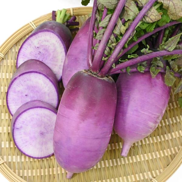 ●商品情報：鮮やかな紫色の外皮と、ほんのり紫色の果肉が美しい！歯切れの良い食感で、甘味が強く、漬物や焼き料理にしても美味！晩抽性があり春まき栽培も可能。※品種の特性上、白い大根が数パーセント混じります。必ず2〜3粒まいて、間引き時に葉や地ぎ...
