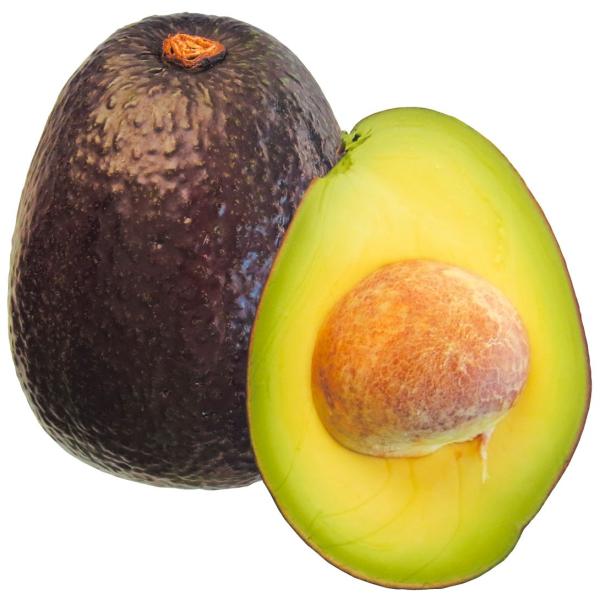 ●商品情報：果重500〜700gと大玉アボカド。油分が20%以上のクリーミーな果肉で、ナッツ風の香りもあり、非常に美味しい。Bタイプ。【アボカド】クスノキ科。南米原産の常緑樹ですが、温州みかんの露地植えができる地域ならアボカドの露地植えも可...