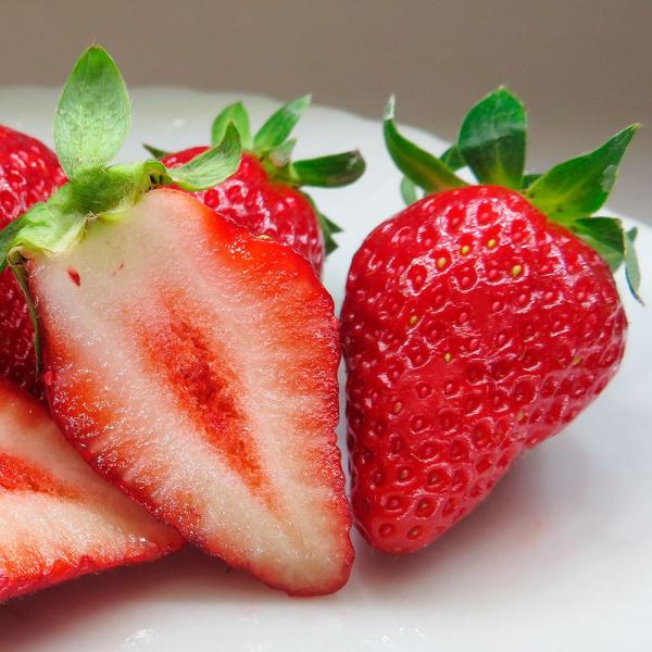 ●商品情報：四季なりイチゴ。糖度・酸度が高く、イチゴらしい爽やかな味わいが特徴です。生食のほか、ケーキなどのスイーツやジャム作りにも適します。しっかりとした果実なので日持性良好で、草勢強く豊産性。●お届け状態：ポット苗●収穫期：5〜11月(...