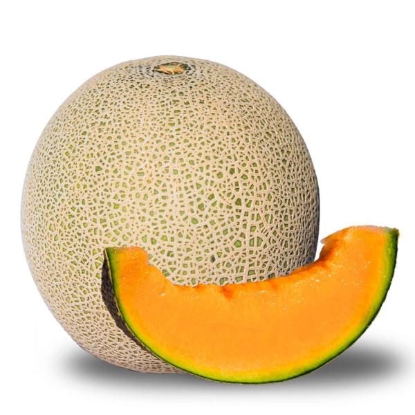 ●商品情報：地這栽培でもハウス栽培したかのような美しいネットメロンに! 糖度約15度と甘く、肉質緻密で美味しい。つる割病・うどんこ病などに強く、日持ち性も抜群です。●果重（約）：1.7〜2kg●糖度（約）：15度●お届け状態：接木9cmポッ...