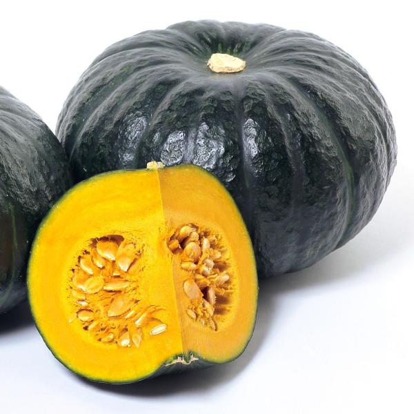 ●商品情報：濃厚な甘味と、ホクホクした栗のような食感がやみつきに!! 生育旺盛で病気に強く、初めての栽培にもオススメのカボチャです。果皮が柔らかく調理も楽チン！貯蔵中の変色も少なく見た目も抜群。●お届け状態：実生9cmポット苗●果重(約)：...