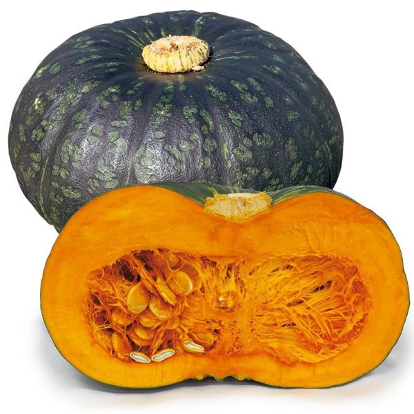 ●商品情報：粉質のホクホク感となめらかしっとり感が、バランスよく織りなす豊かな味わいが特徴！！煮崩れしにくく、最高の煮物に！果皮は極濃緑色で、２か月間常温保存しても他品種より果皮の退色および腐敗が遅く、貯蔵性も抜群。低節位でもよく肥大し摘果...